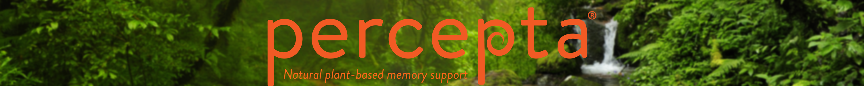 Amazon.com: Percepta: Our Neuroscientists