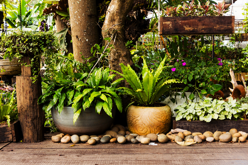 Amazon.com: Planted Perfect