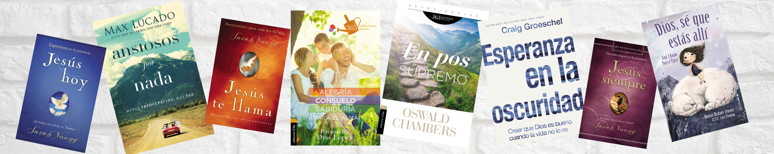 Amazon.com: Spanish Christian Books : Hope & Faith