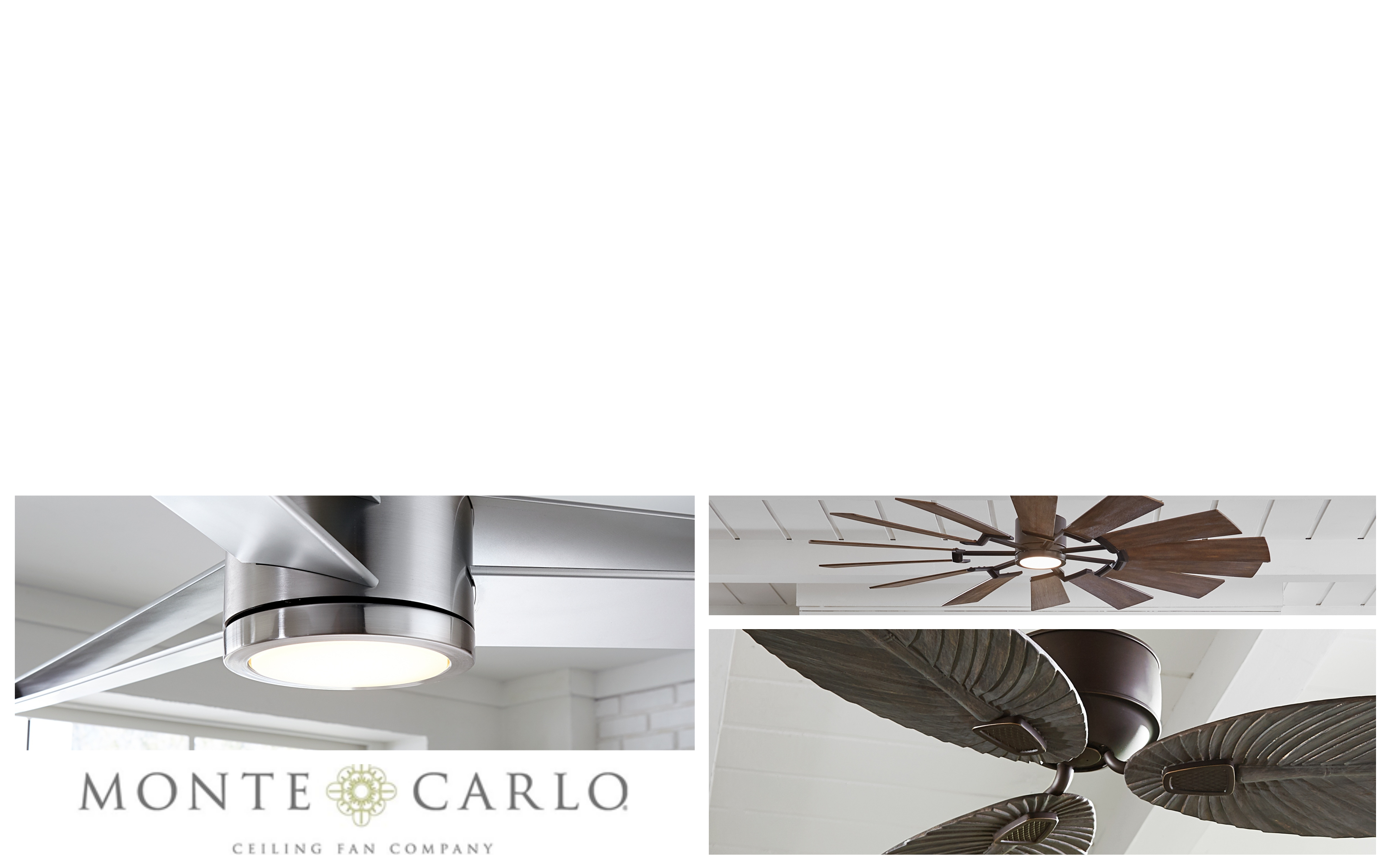 Amazon.com: Monte Carlo: Accessories