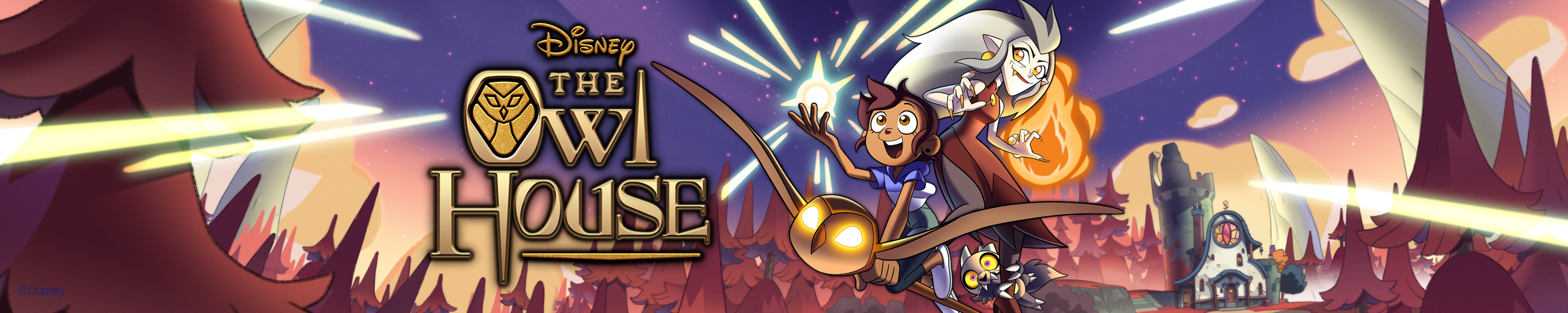 Amazon.com: Disney Channel Fan Shop: The Owl House