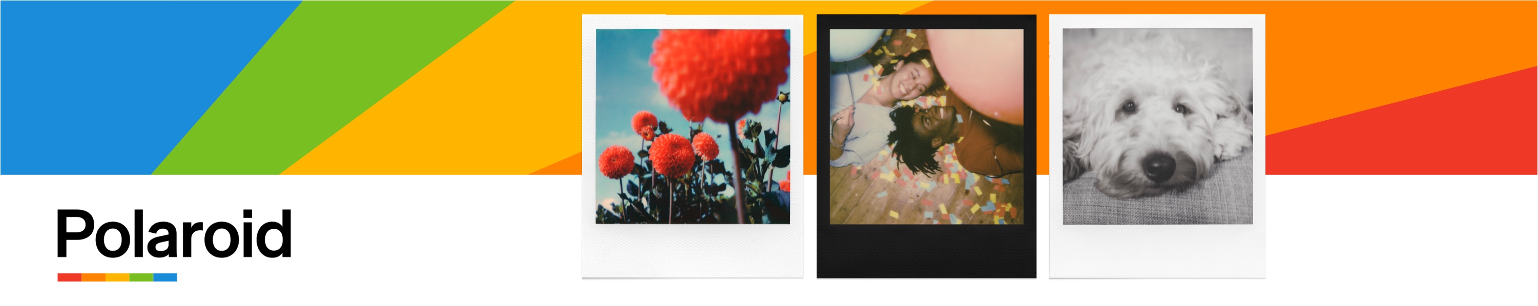 Amazon.com: Polaroid: Polaroid Lab