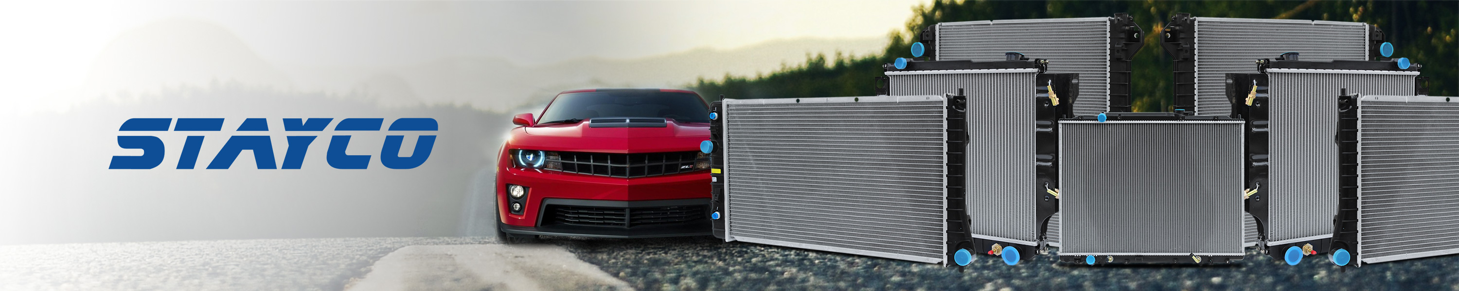 Amazon.com: STAYCO: for Ford Chey Dogde Pickup