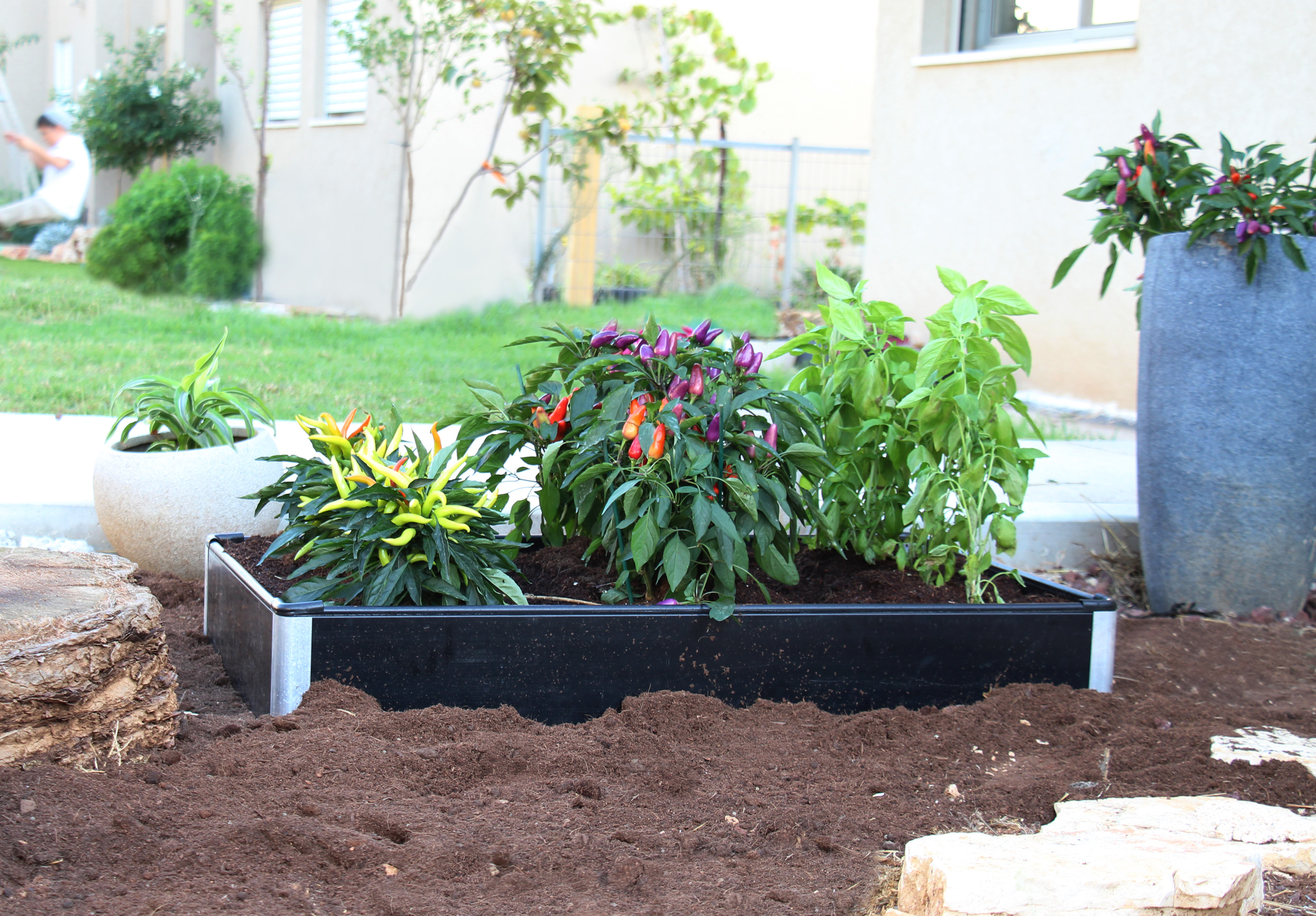 Amazon.com: TABOR TOOLS: Raised Garden Bed
