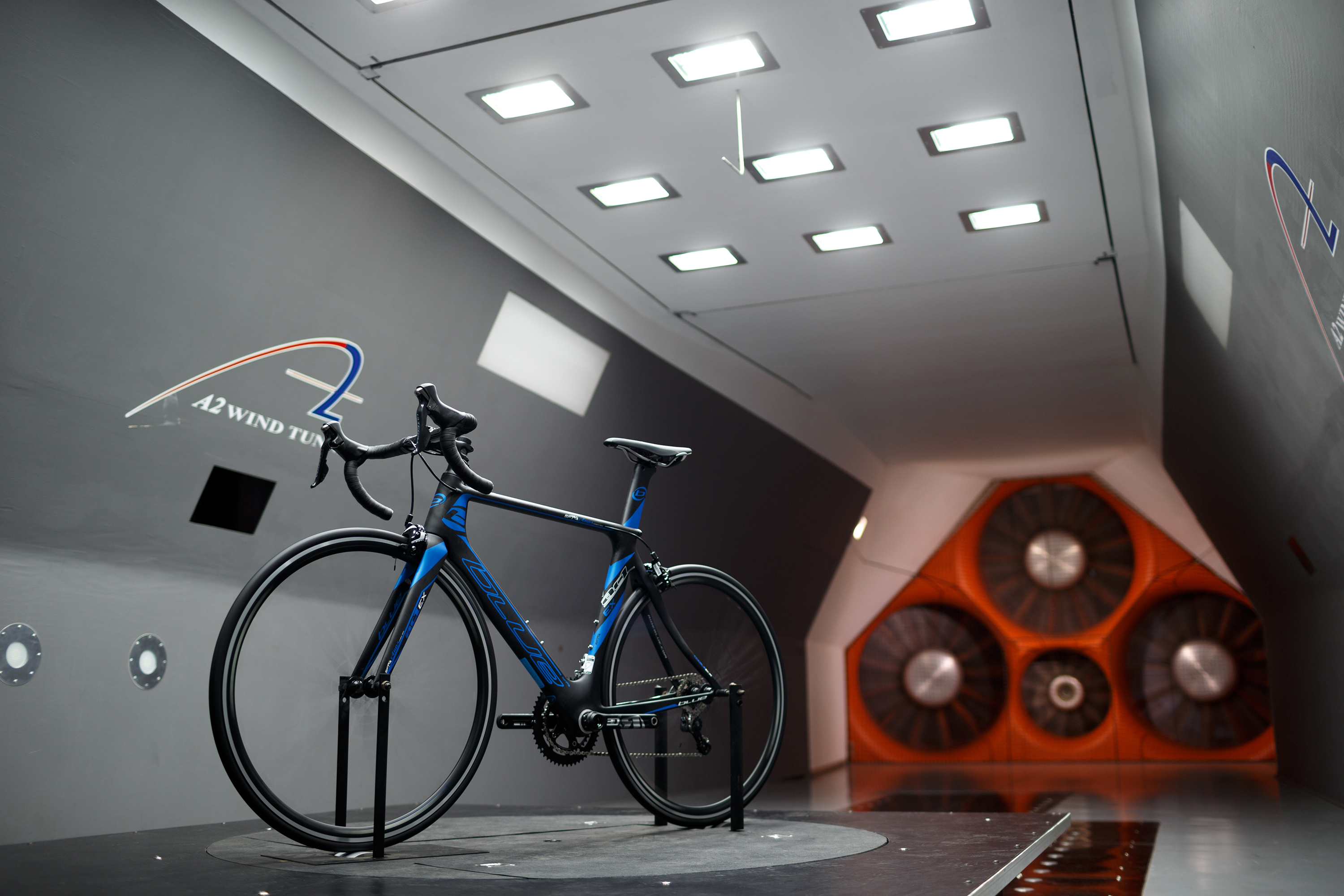 Amazon.com: Blue Competition Cycles