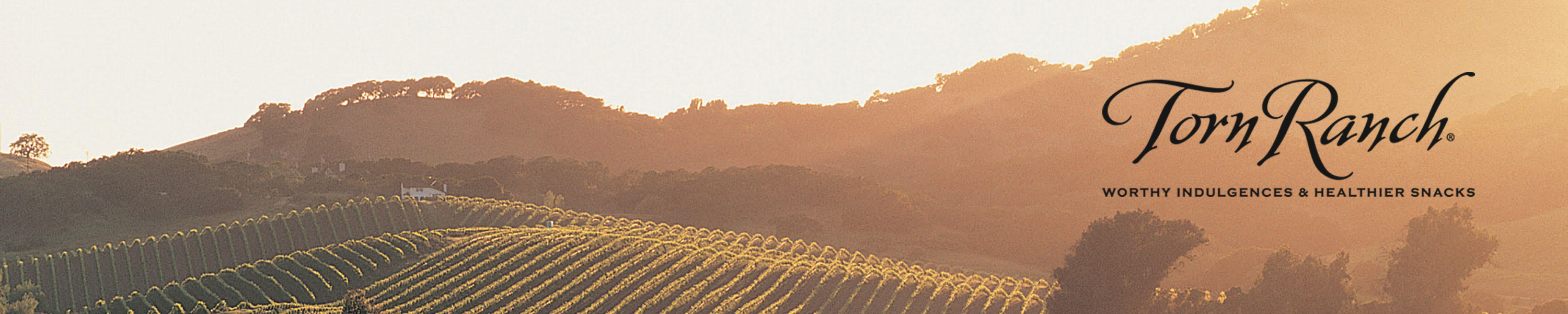 Amazon.com: Torn Ranch