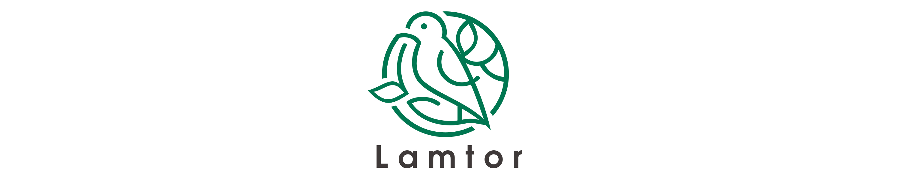 Amazon.com: LAMTOR