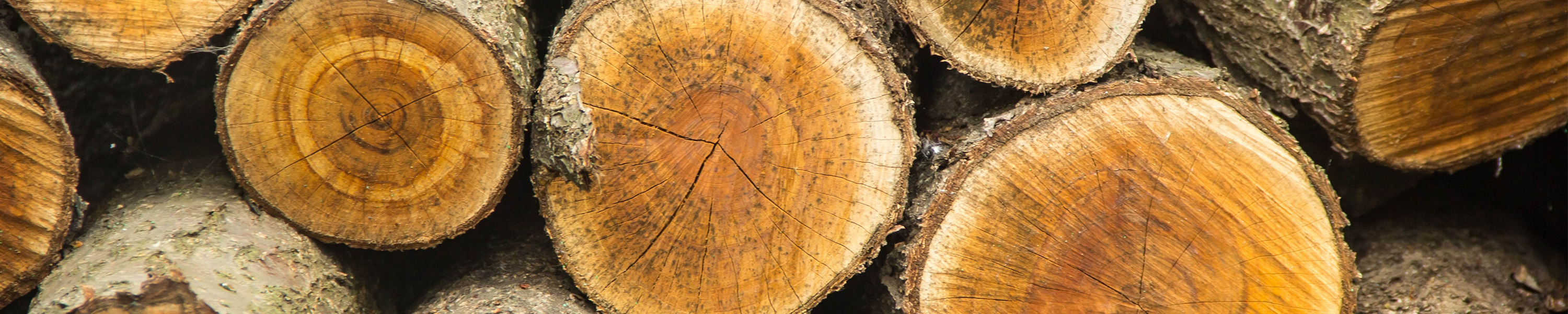 Amazon.com: Firemizer