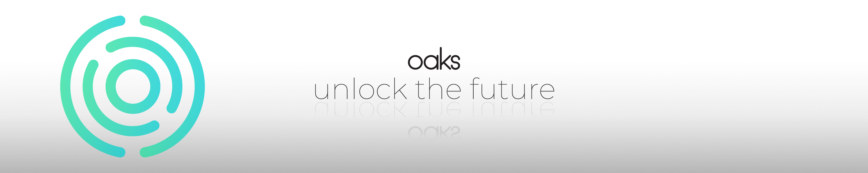 Amazon.com: Oaks Smart Lock