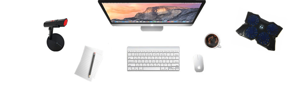 Amazon.com: Tree New Bee