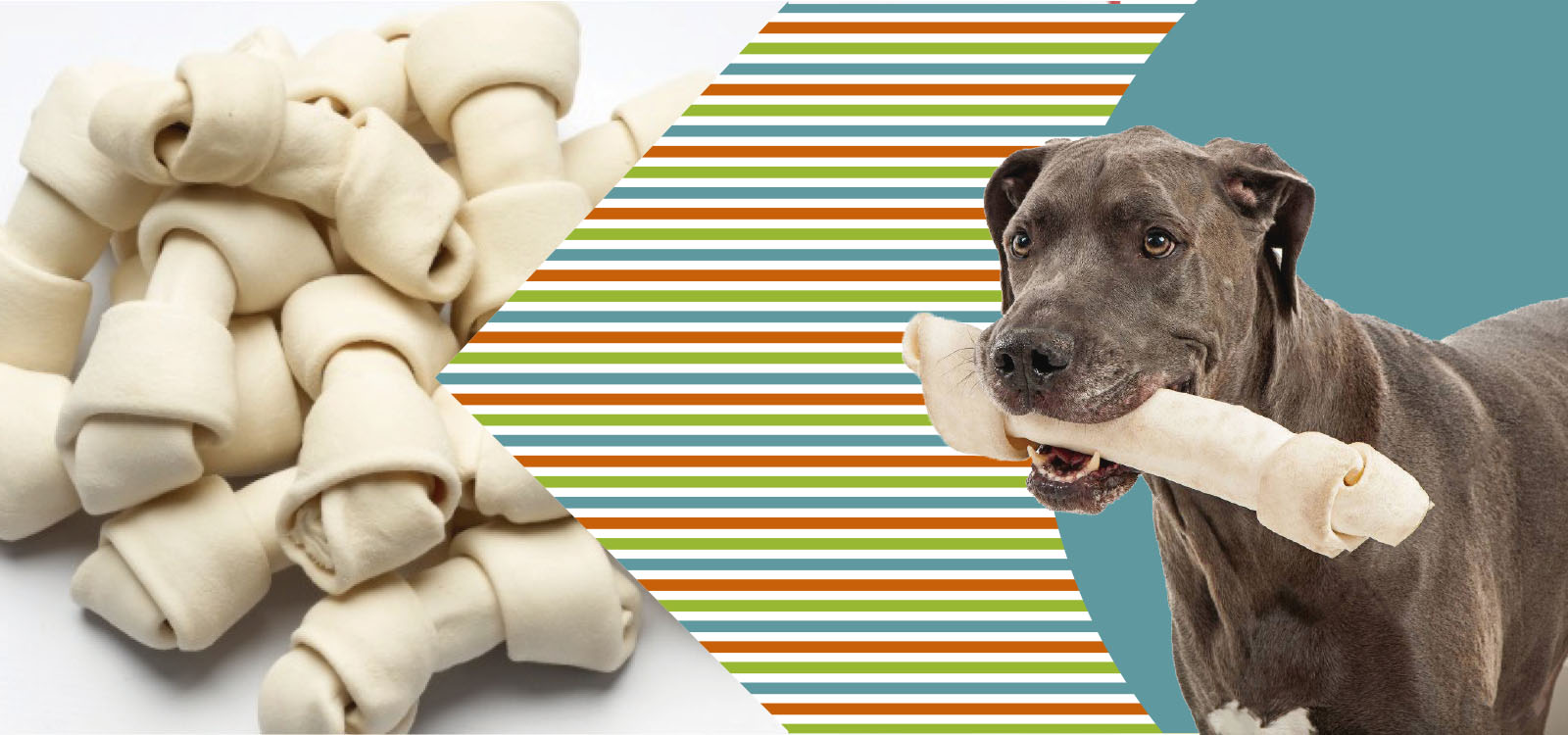 Amazon.com.mx: Señor Hueso: Diversidad de productos