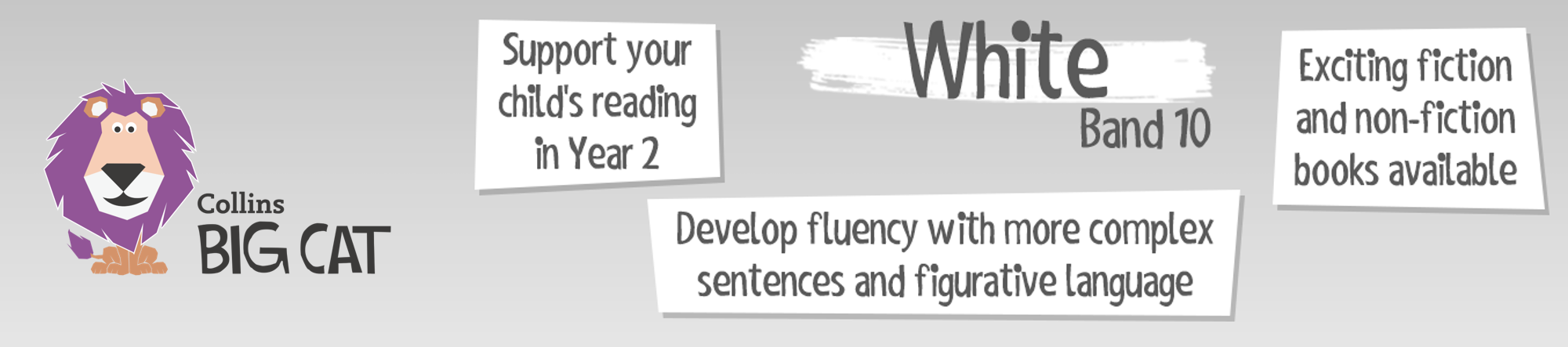 Amazon.co.uk: Collins Big Cat: White Band - Year 2/P3