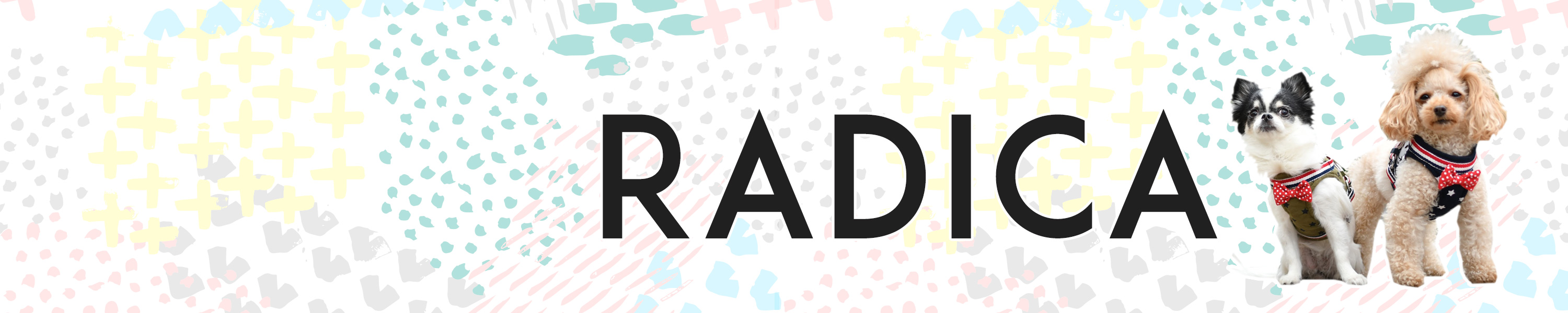 Amazon.co.jp: RADICA