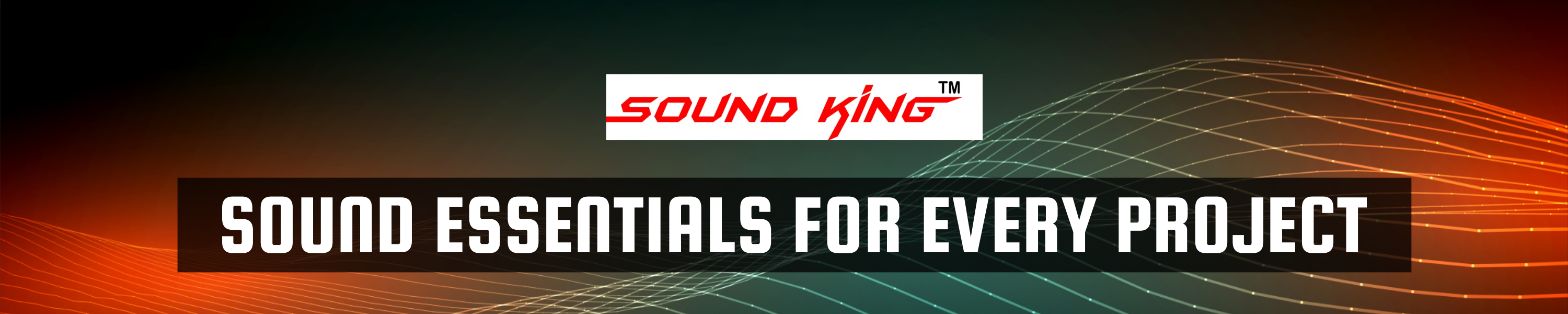 Amazon.in: SOUND KING