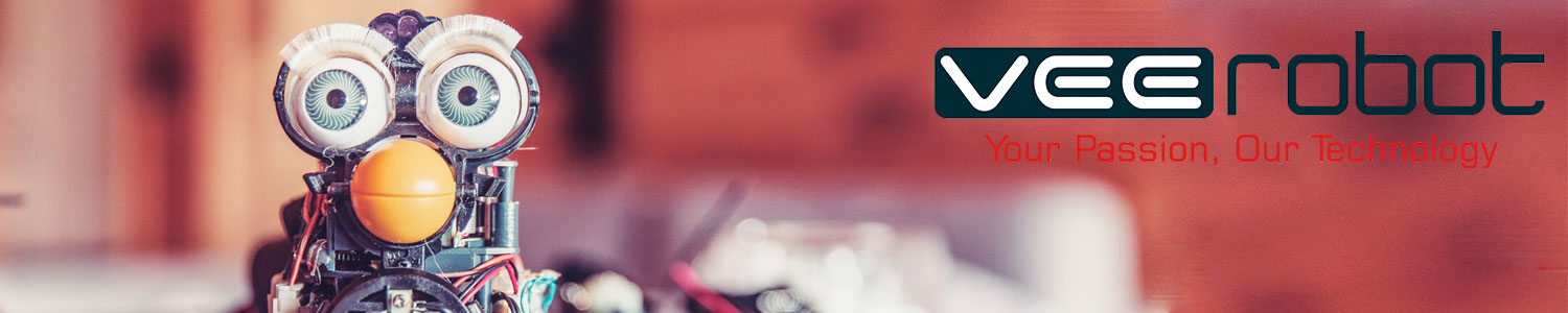 Amazon.in: VEE robot