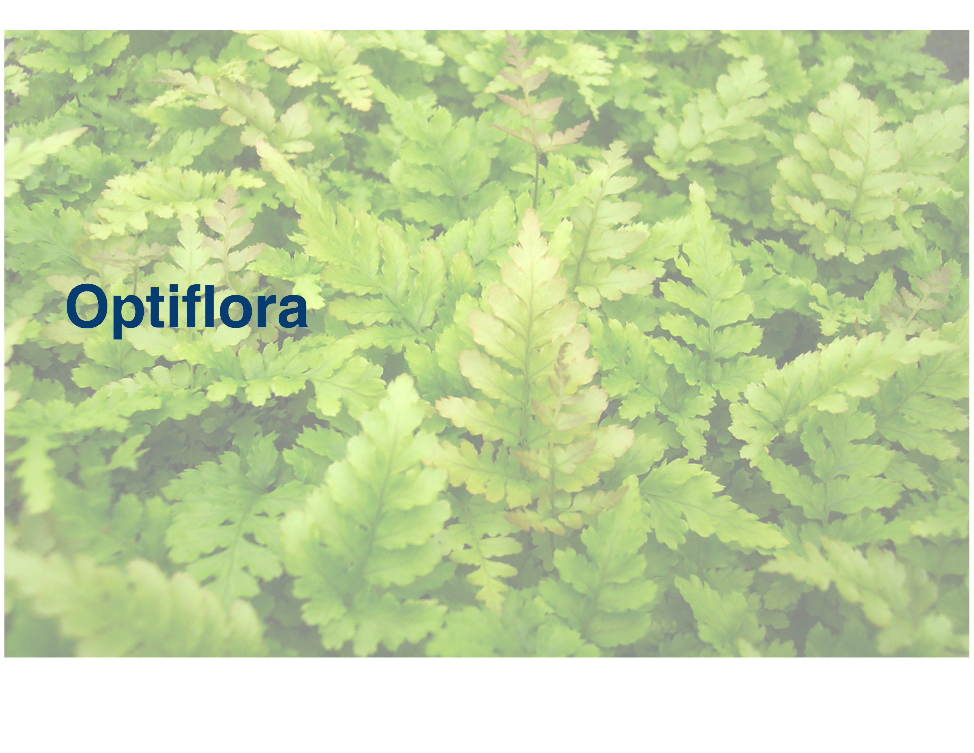 Amazon.com: Optiflora