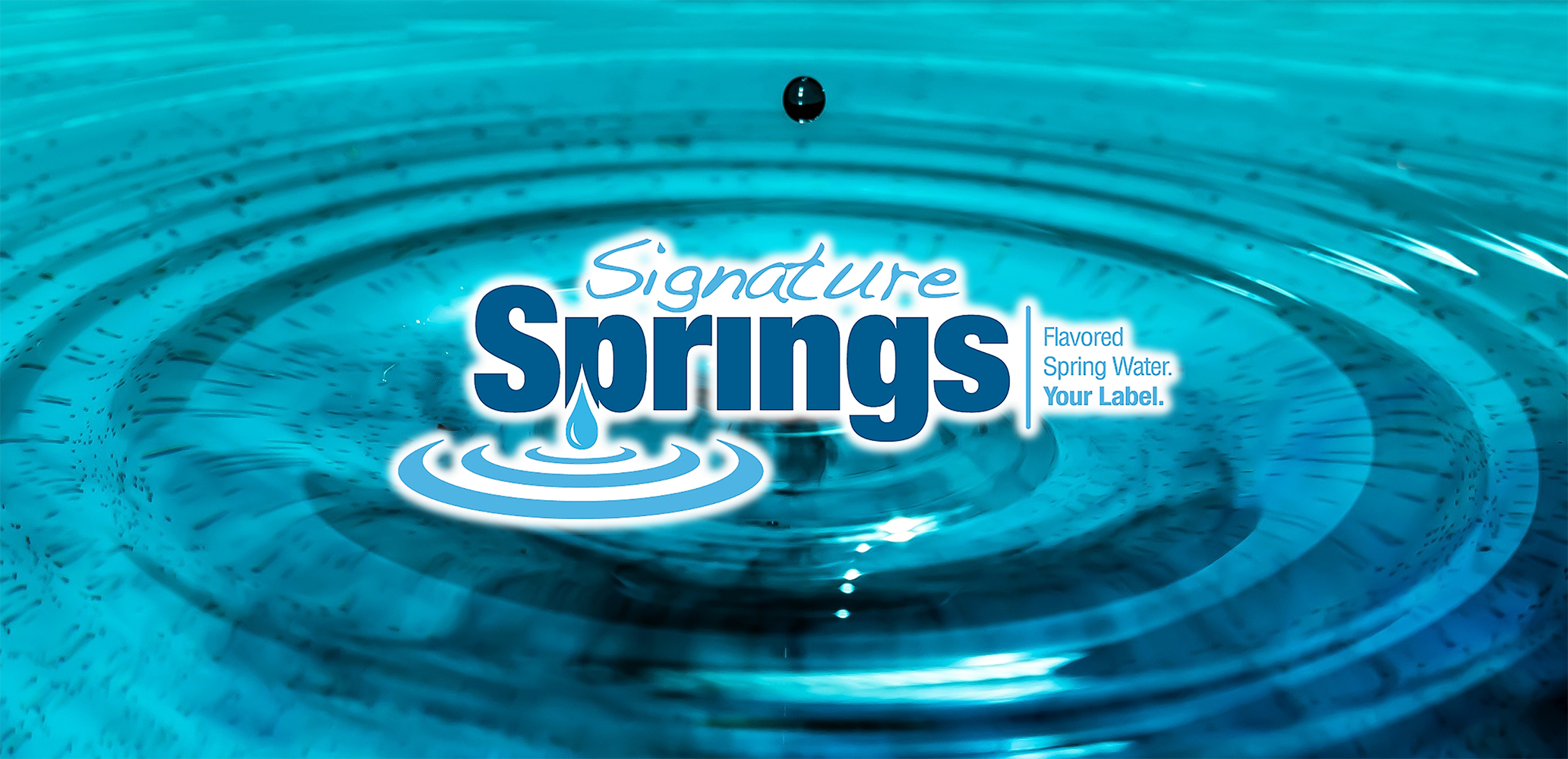Amazon.com: Signature Springs