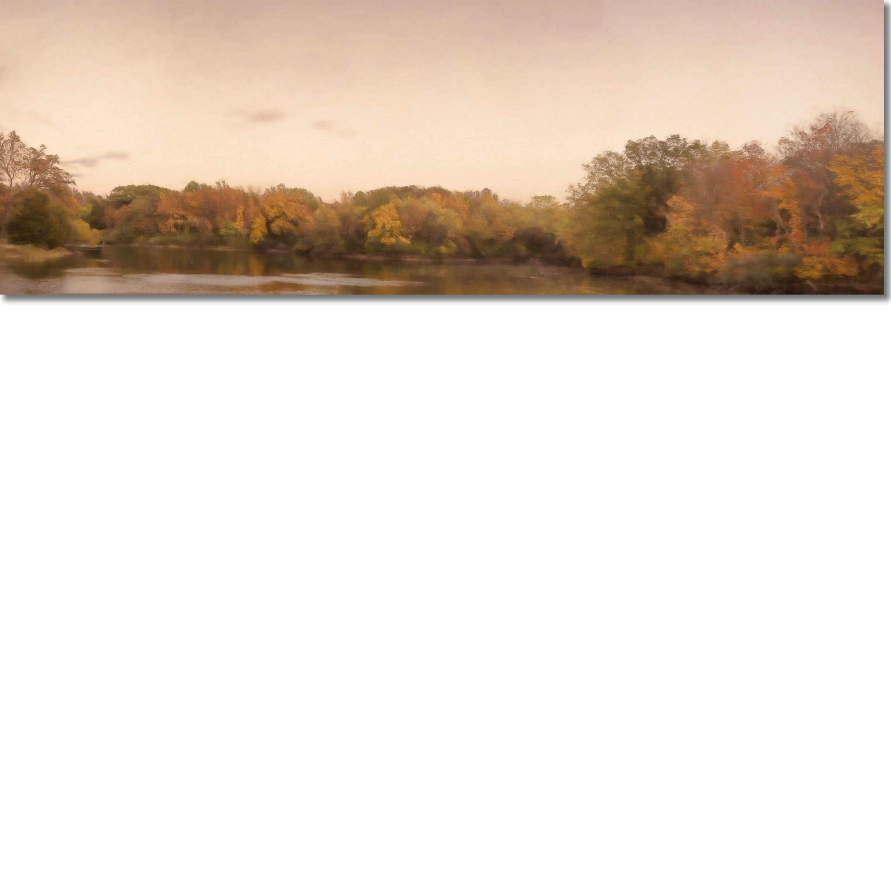 Amazon.com: Emergent Light Studio