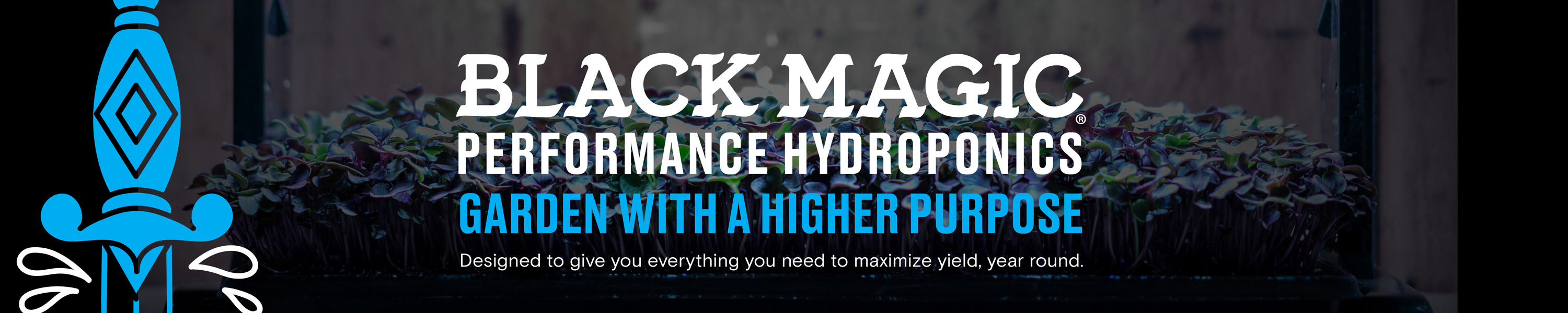 Amazon.com: Black Magic : Supplements
