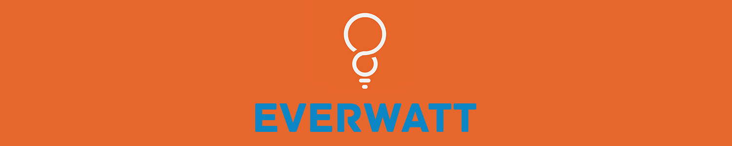 Amazon.com: EverWatt Lights