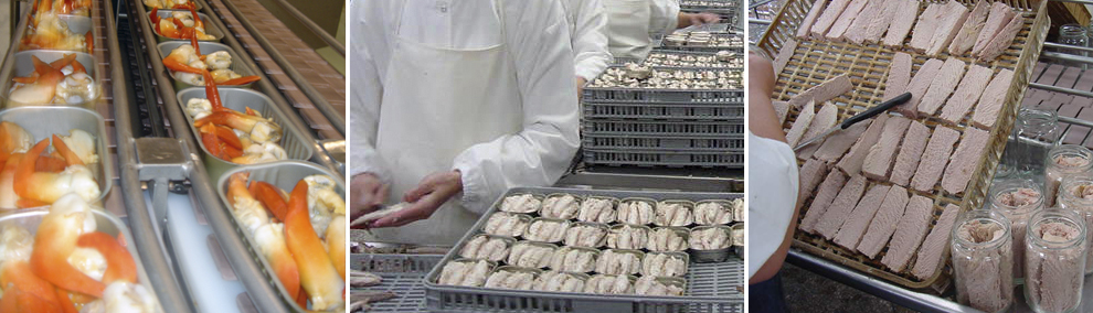 Amazon.com: Ubago: Sardines ( Skinless and Boneless )