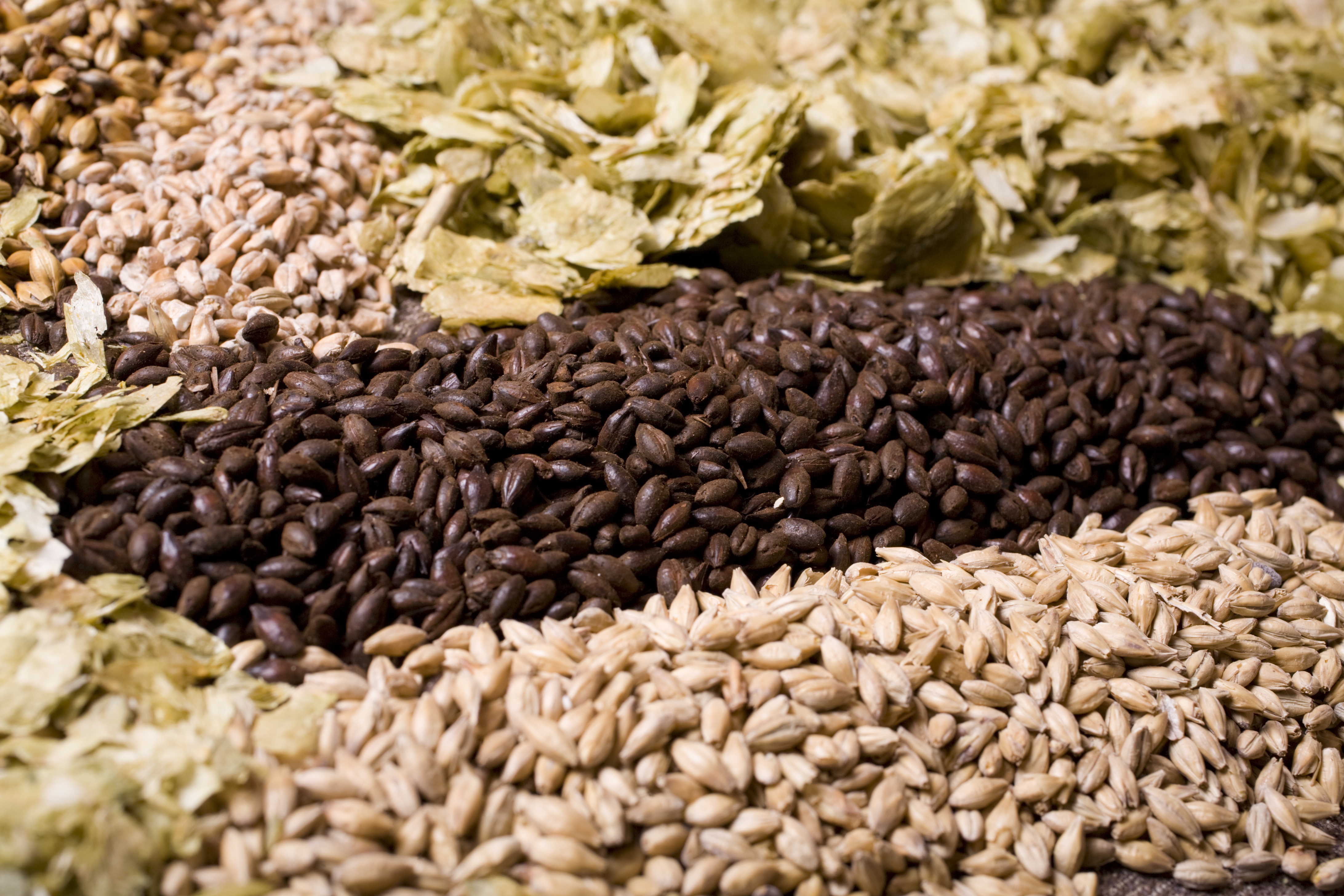 Amazon.com: Northern Brewer: All Grain and Partial Mash