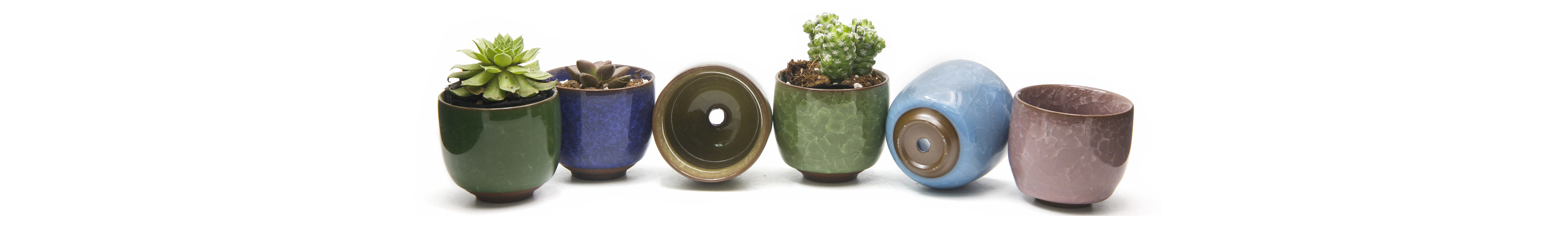 Amazon.com: goldblue: Garden pot series