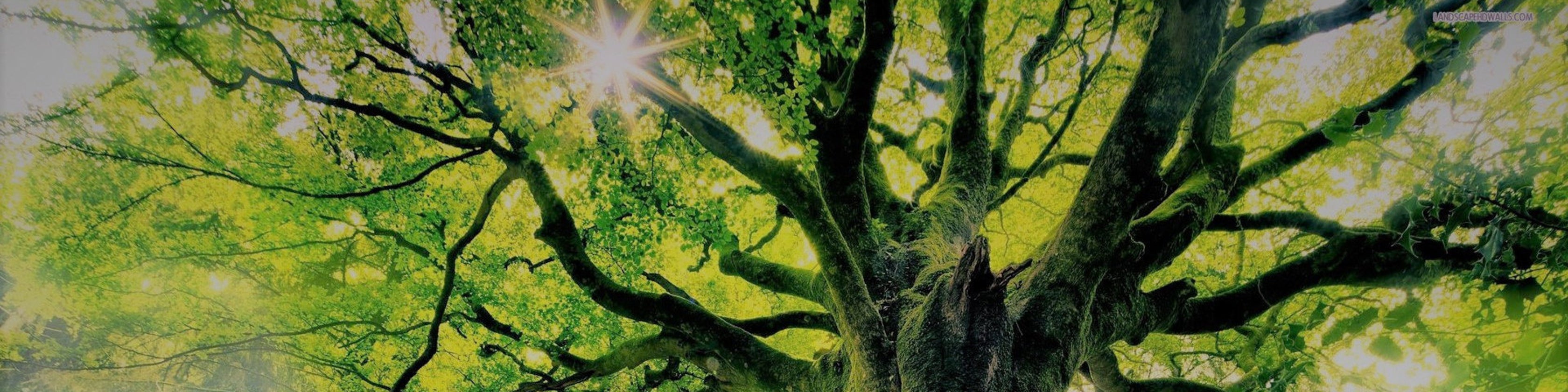Amazon.com: Stay Grounded