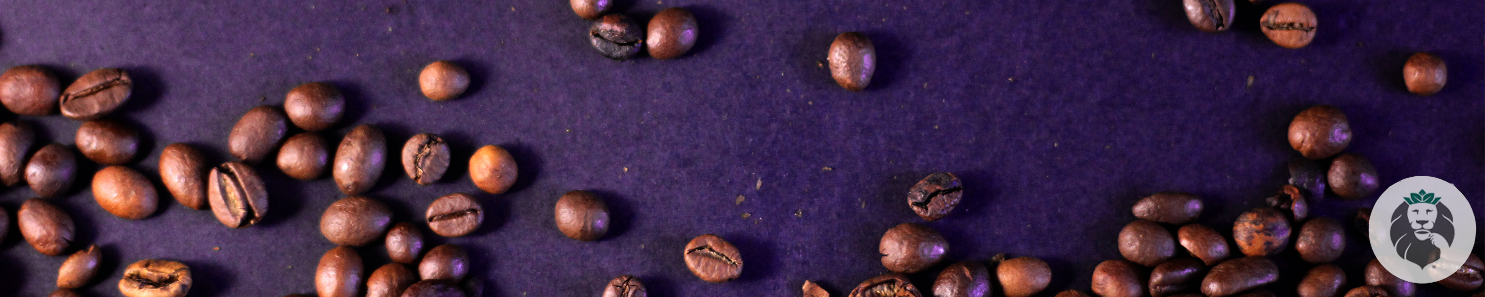 Amazon.com: ROAR Coffee & Tea: LOOSE LEAF TEAS