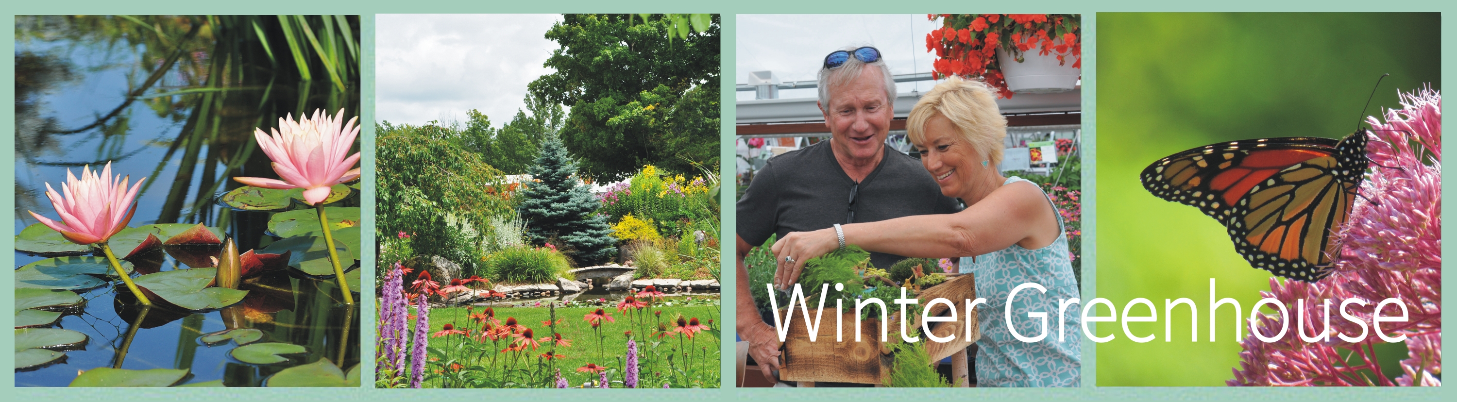 Amazon.com: Winter Greenhouse: Collections