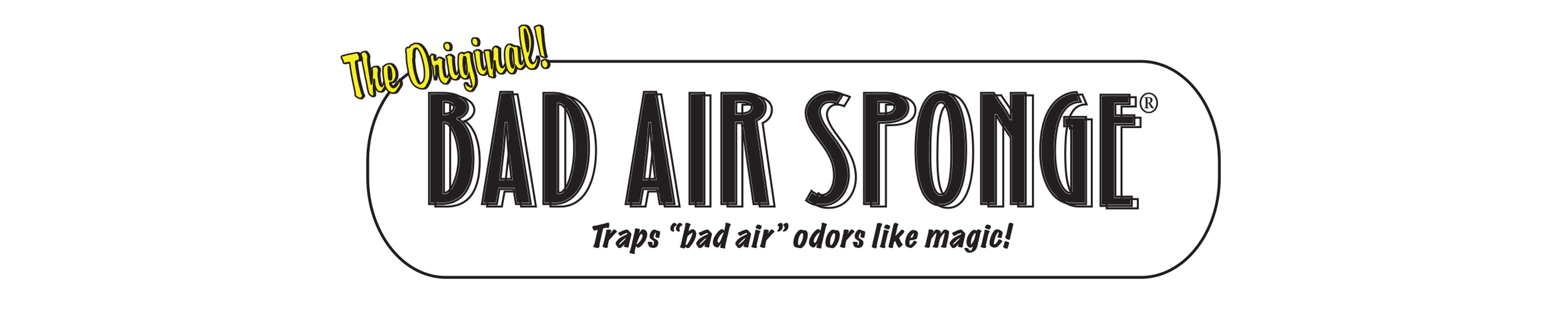 Amazon.com: Bad Air Sponge