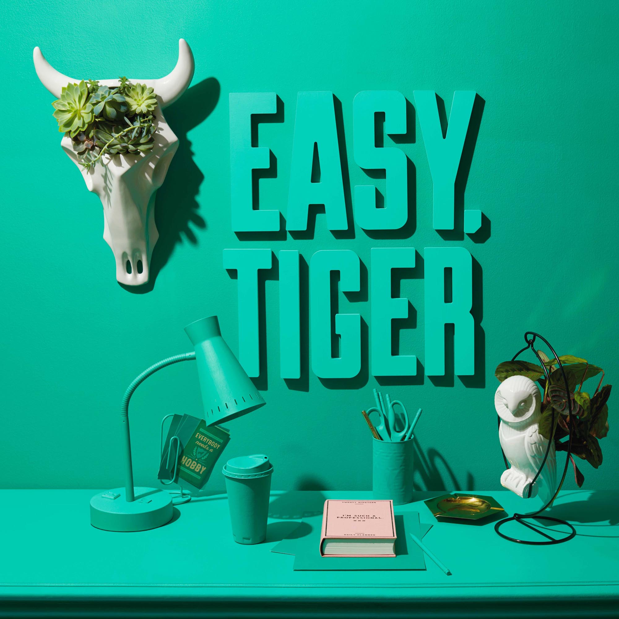 Amazon.com: Easy, Tiger: Pens