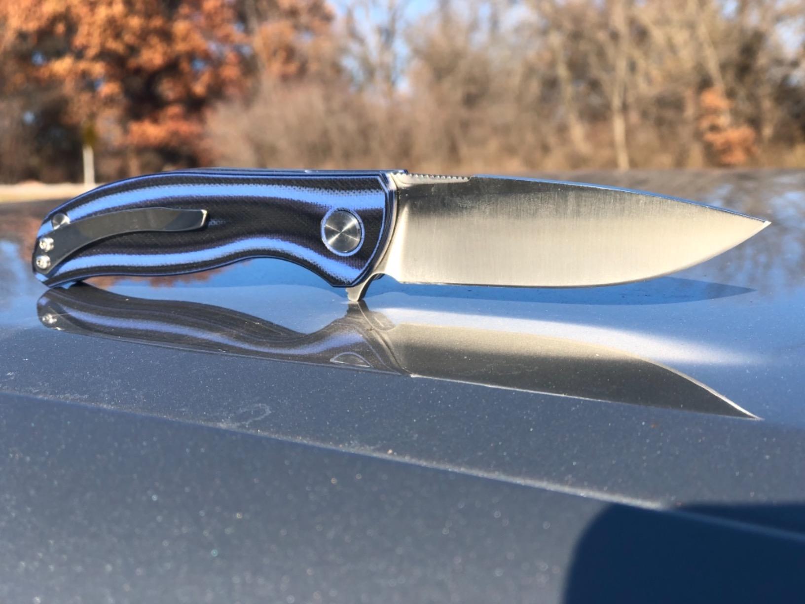 Amazon.com: Eafengrow: Heavy Knife