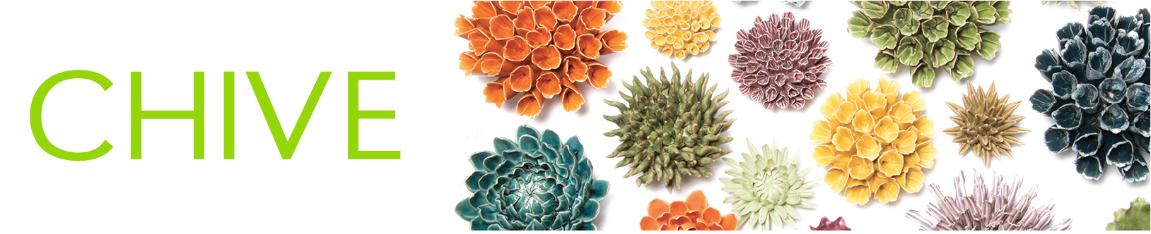 Amazon.com: Chive: Pots & Planters