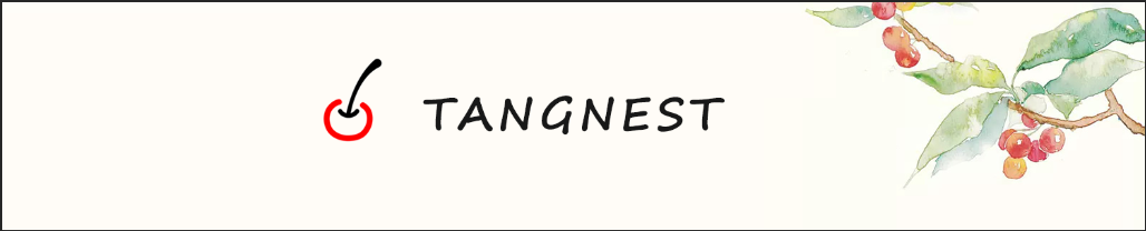 Amazon.com: TN TANGNEST: FASHION SNEAKERS