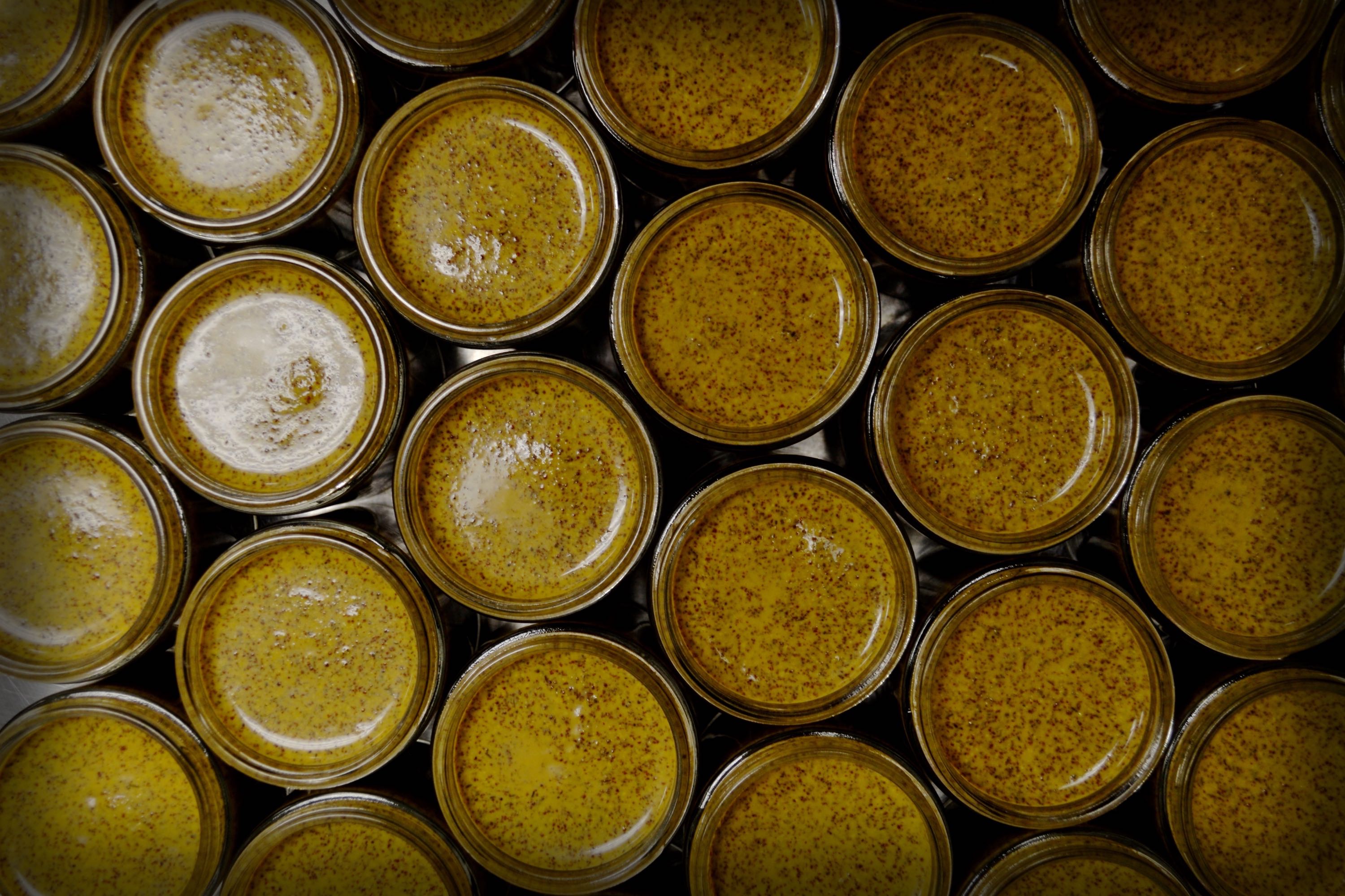 Amazon.com: Mustard and Co.