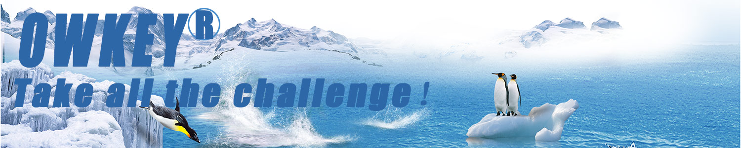 Amazon.com: OWKEY: PHONE CASE