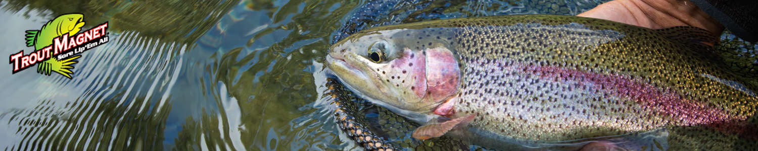 Amazon.com: Trout Magnet