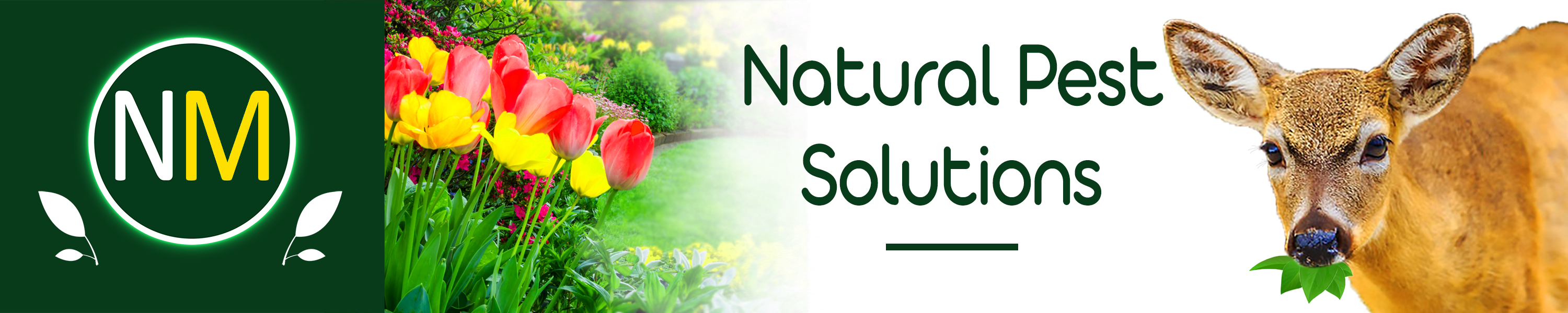 Amazon.com: Nature's MACE: Bed Bug