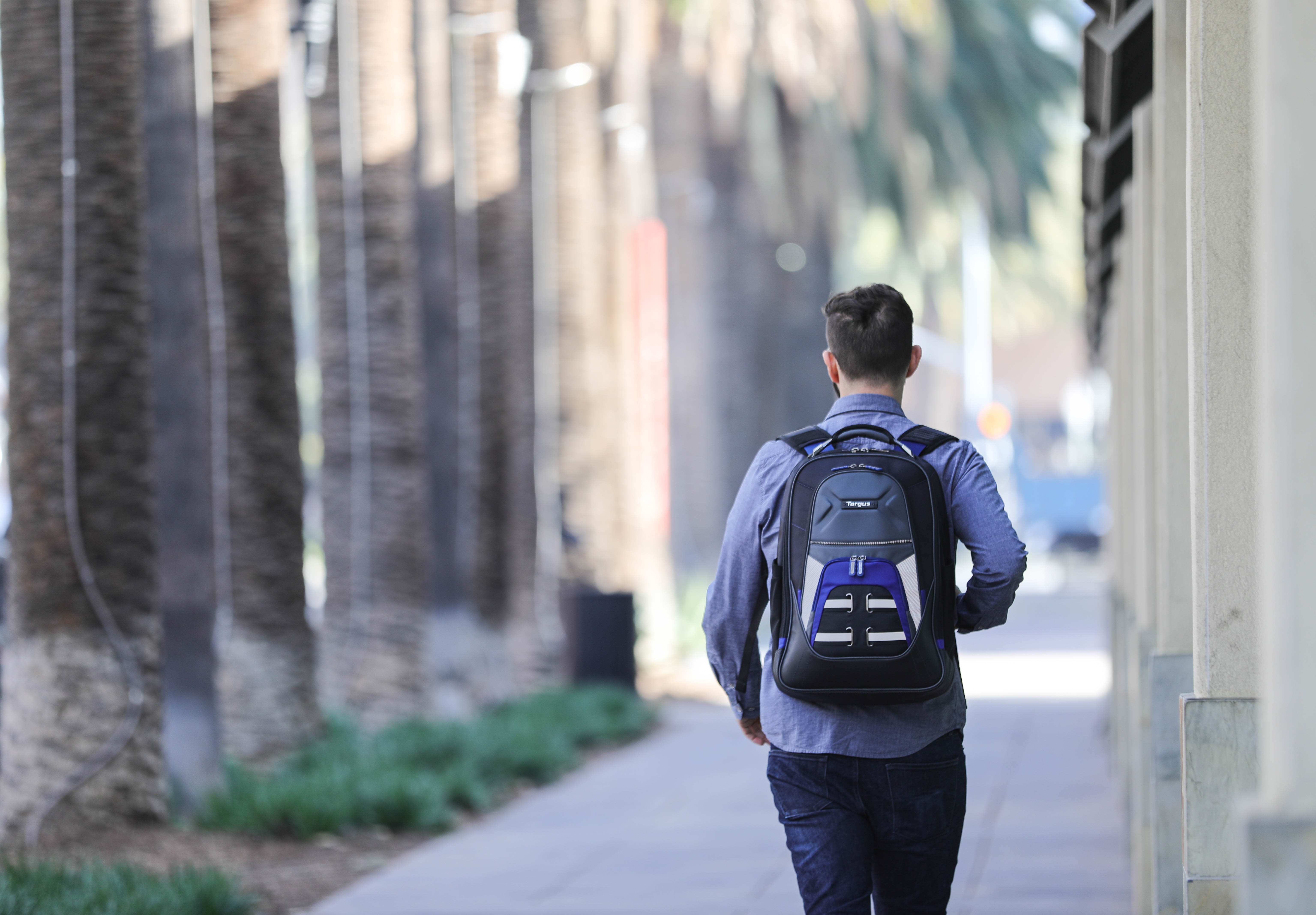 Amazon.com: Targus Official Store: Laptop Backpacks