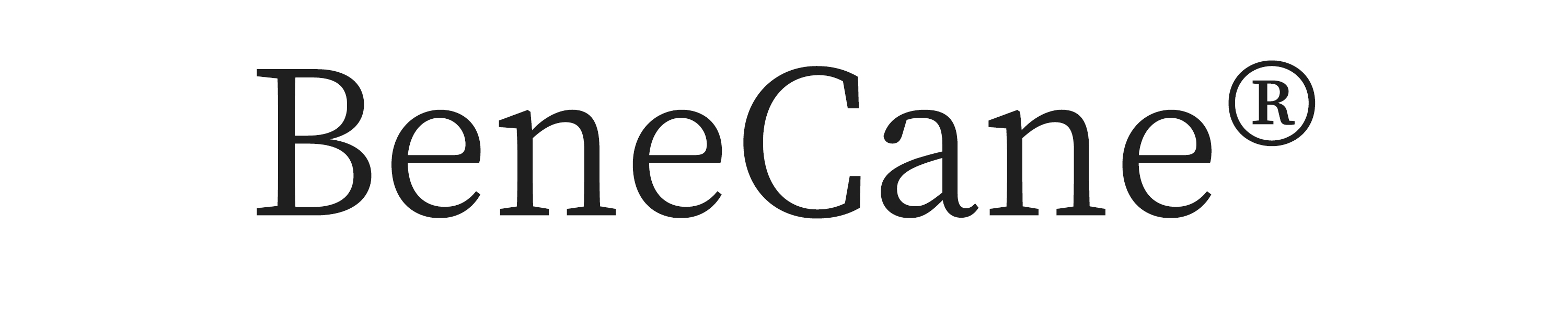 Amazon.com: BeneCane