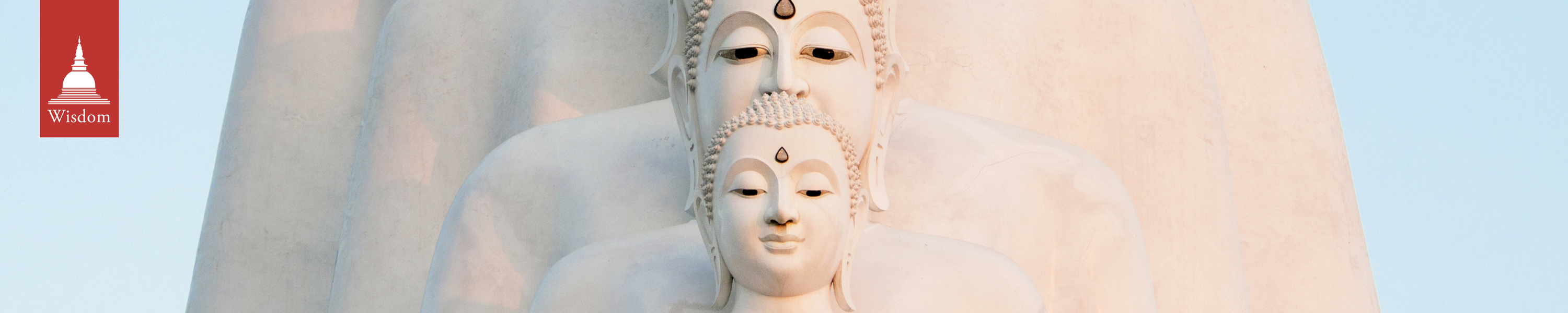 Amazon.com: Wisdom Publications: Buddhism and Psychology