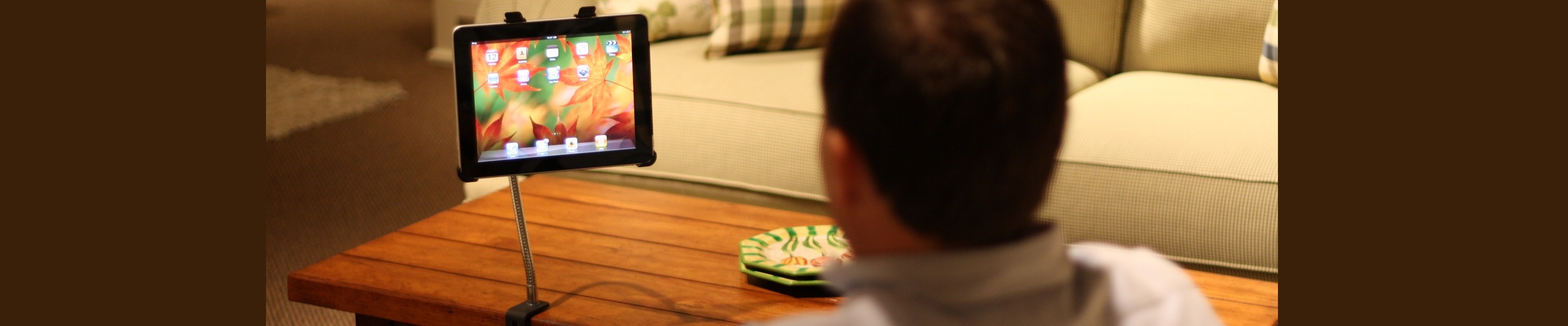 Amazon.com: SnakeClamp Products