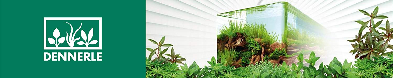 Amazon.co.uk: Dennerle