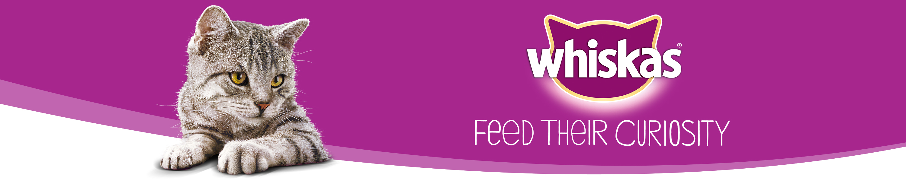 Amazon.co.uk: Whiskas