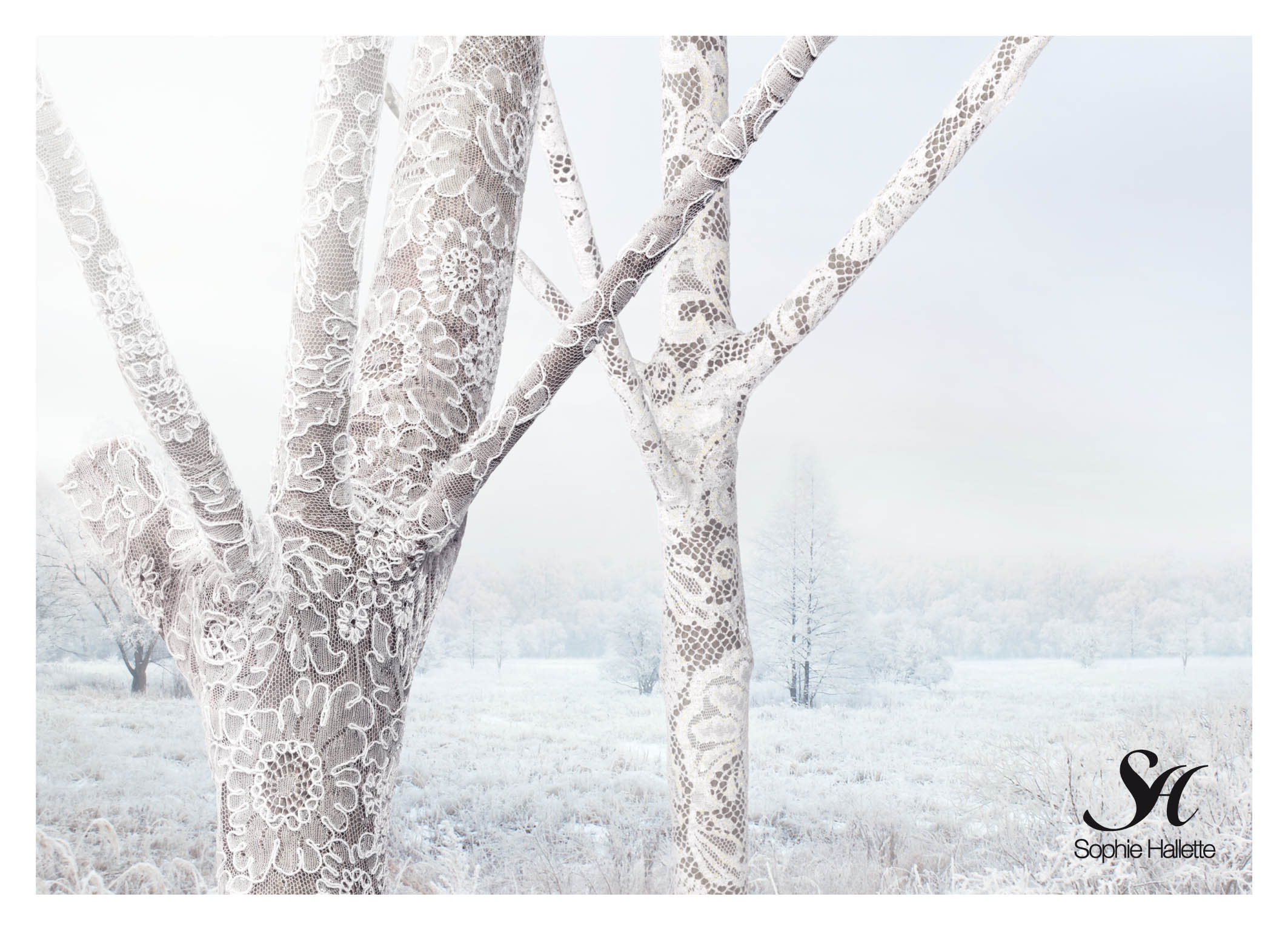 Amazon.co.uk: Fréolic London: BRIDAL METALLIC GOWN