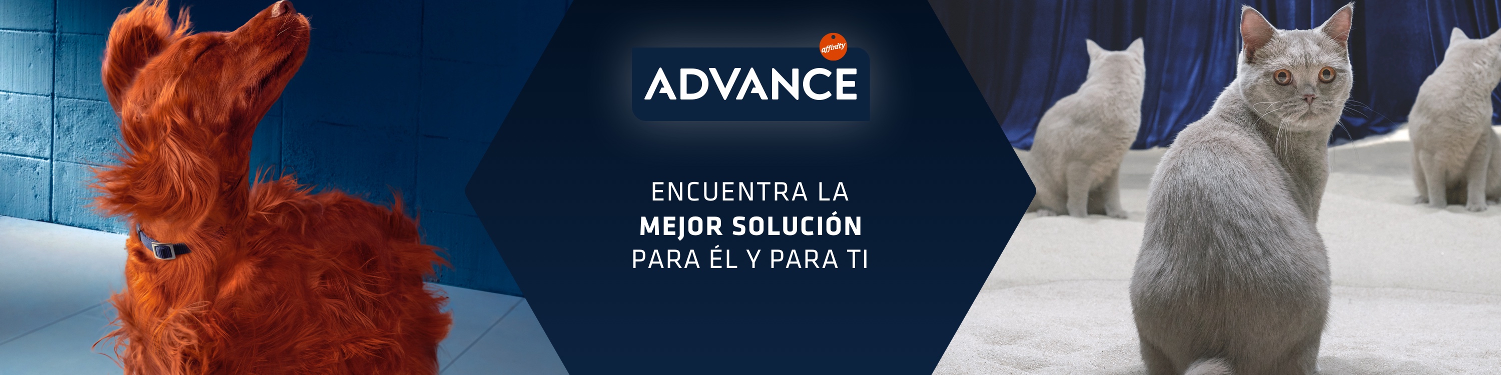 Amazon.es: Advance: SUPLEMENTOS