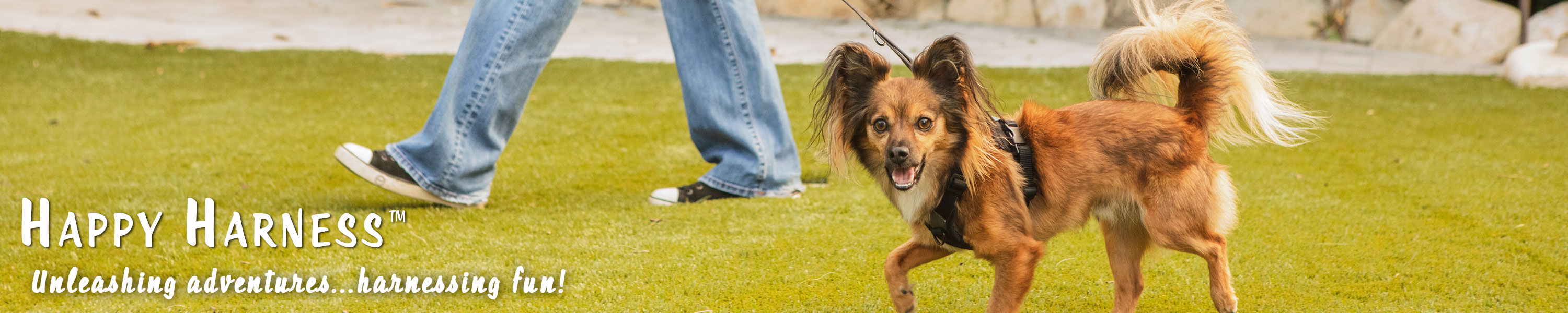 Amazon.com: Trans Paw Gear