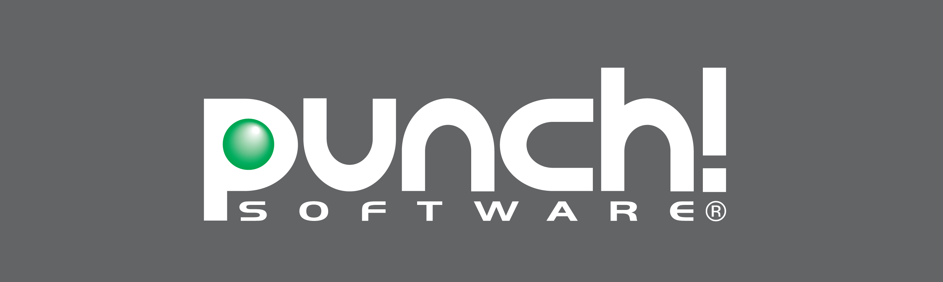 Amazon.com: Punch! Software