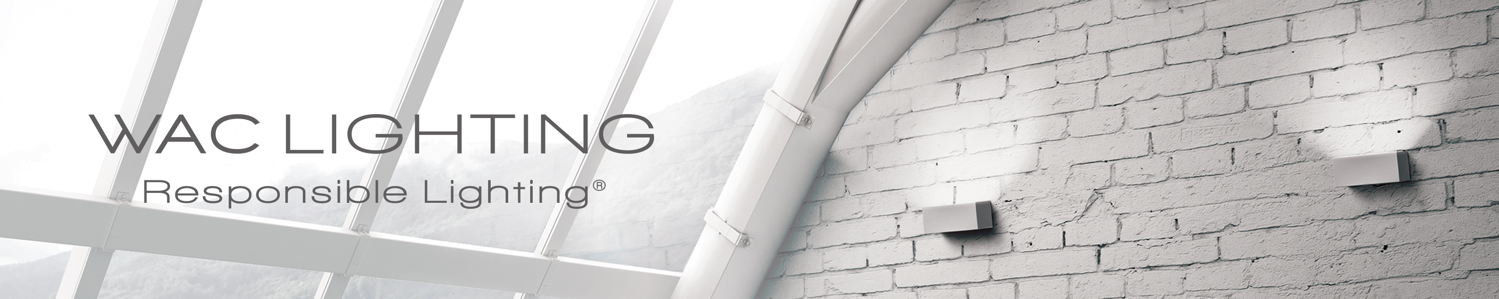 Amazon.com: WAC Lighting: Functional Lighting